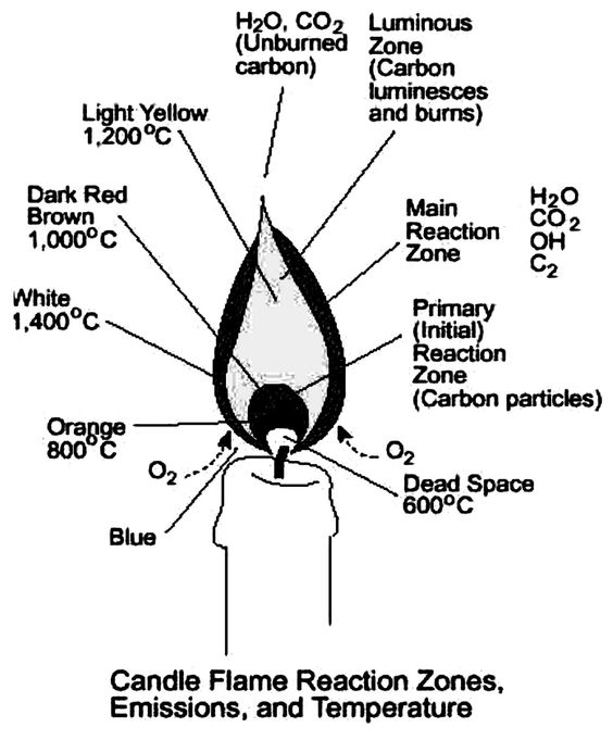 Candle Science-candle Warmer